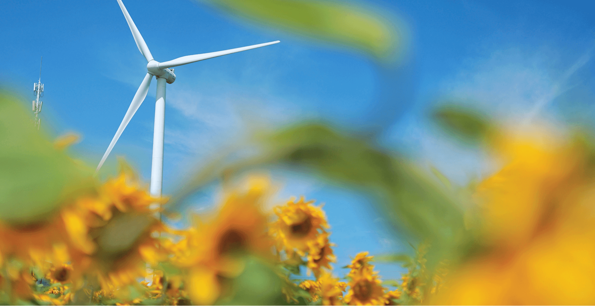 Climate Action Forward Faster